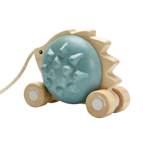 PlanToys Pull-Along Hedgehog – Born Yesterday