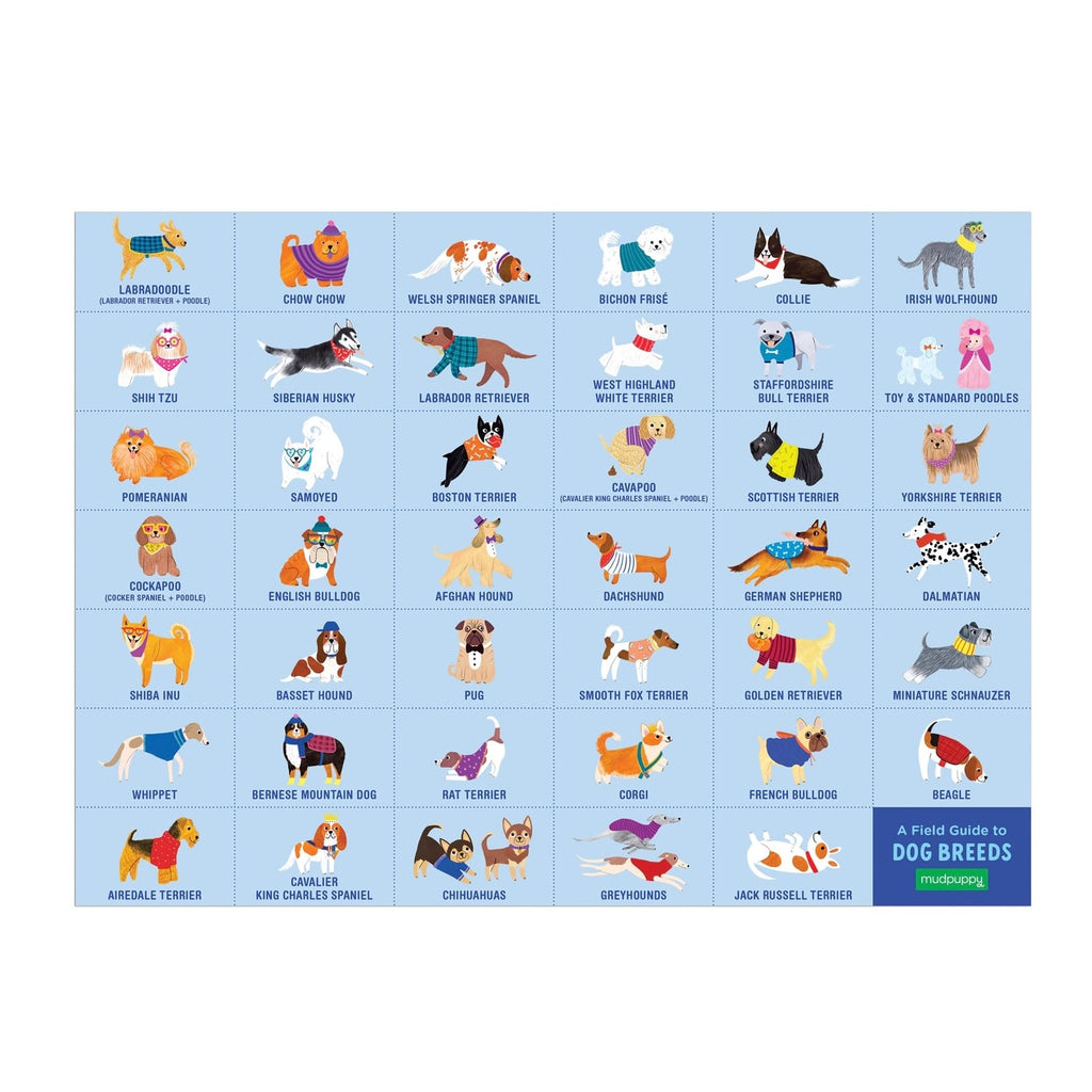 Mudpuppy Doggie Days 64 Piece Search & Find Puzzle – Born Yesterday